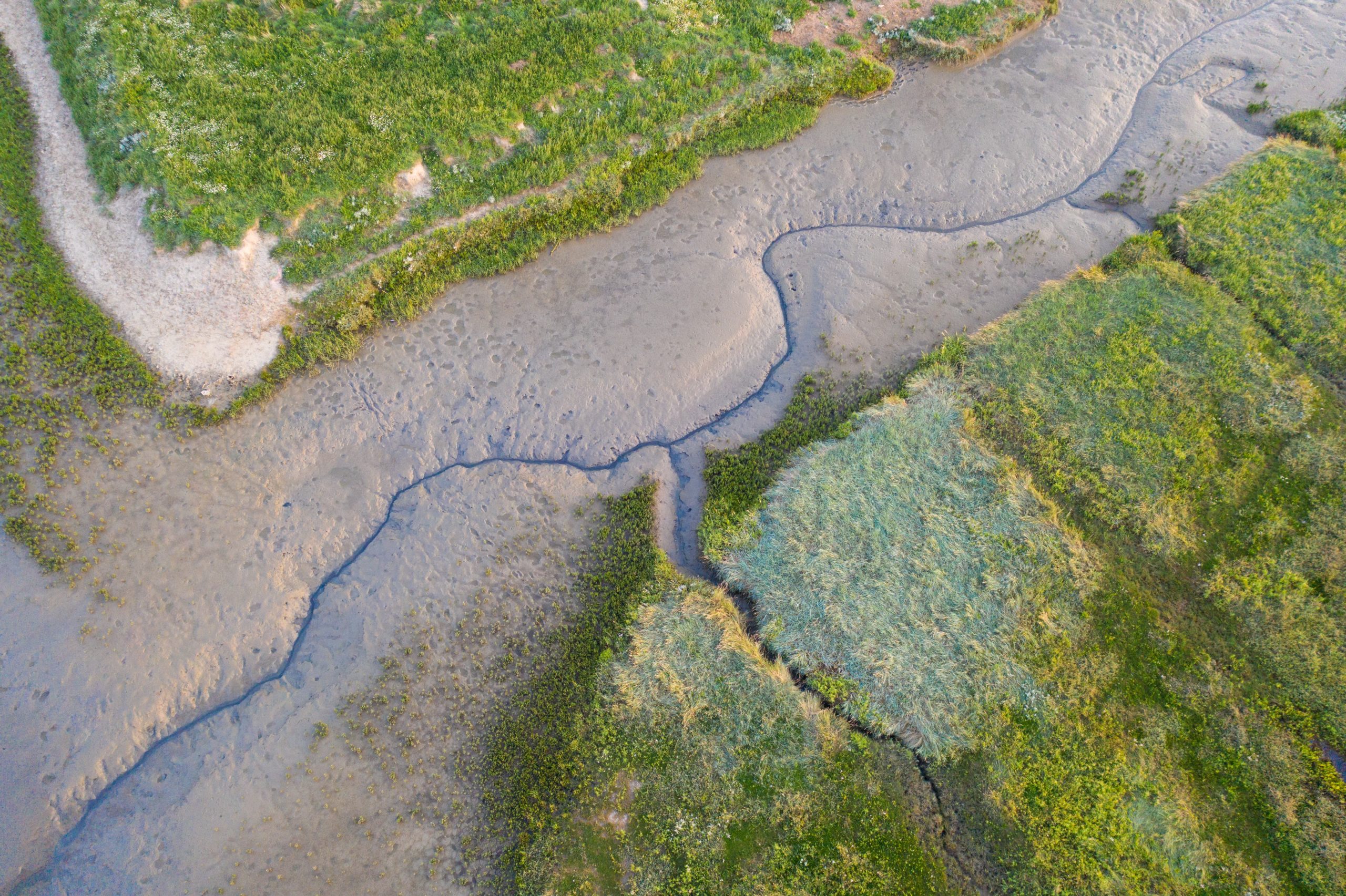 Wierdenland en Waddenkust - Landschapswerkplaats
