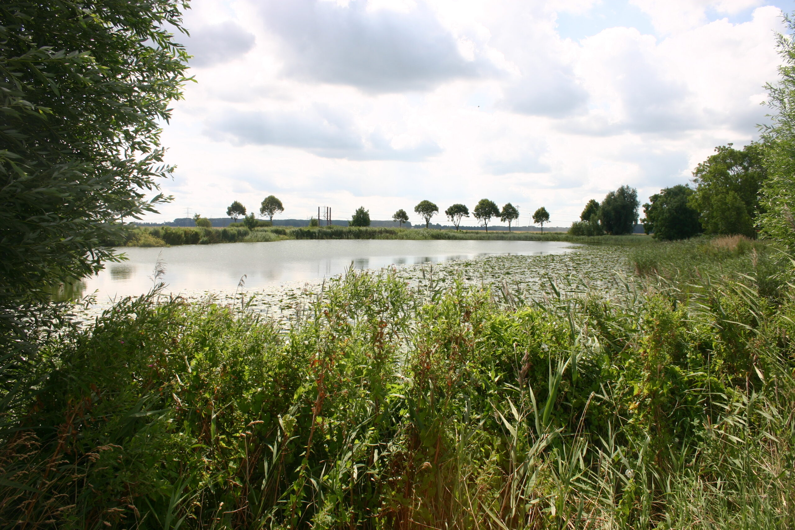 Kolken in het Dollardgebied - Landschapswerkplaats